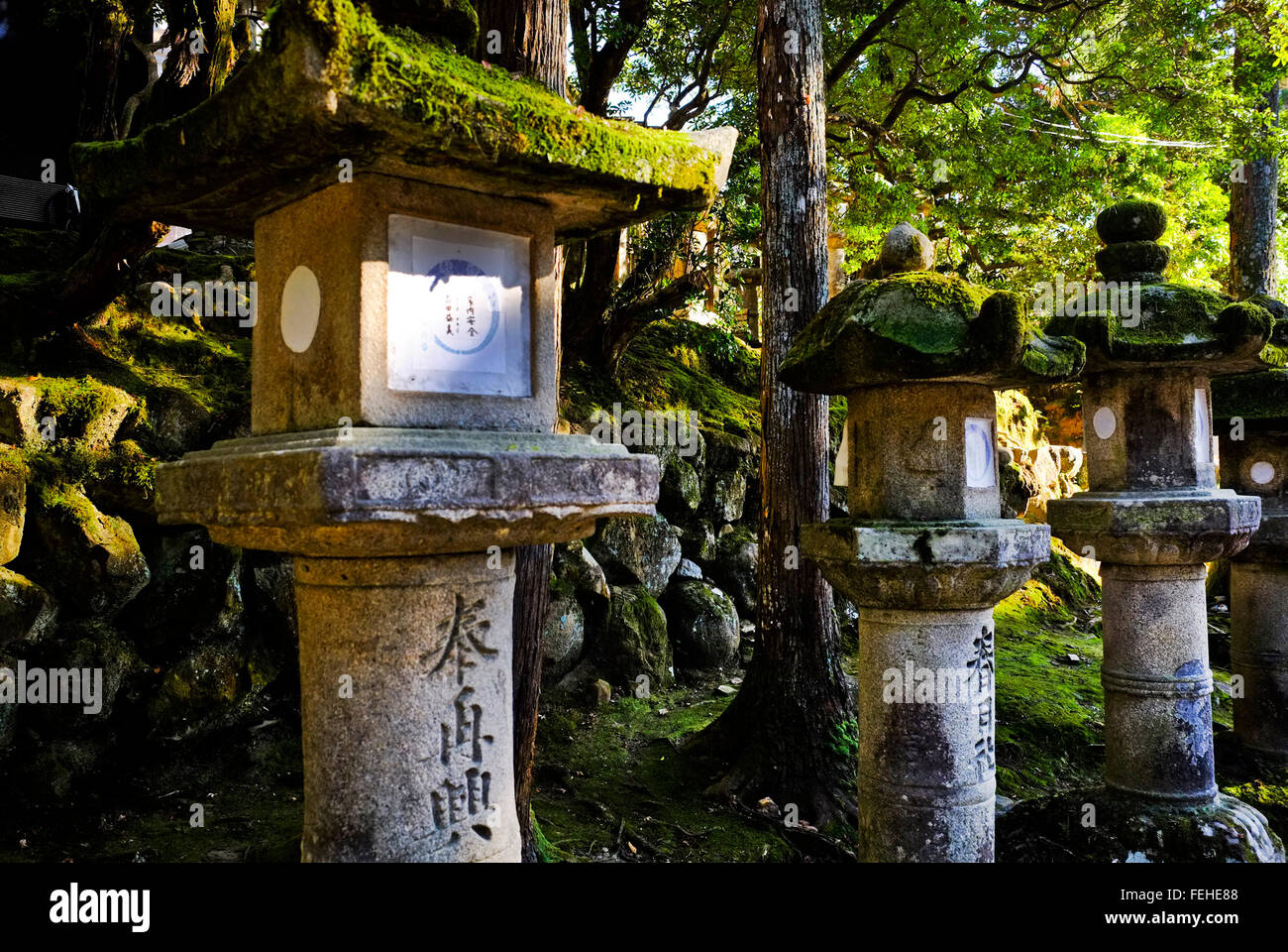 Nara art park hi-res stock photography and images - Alamy