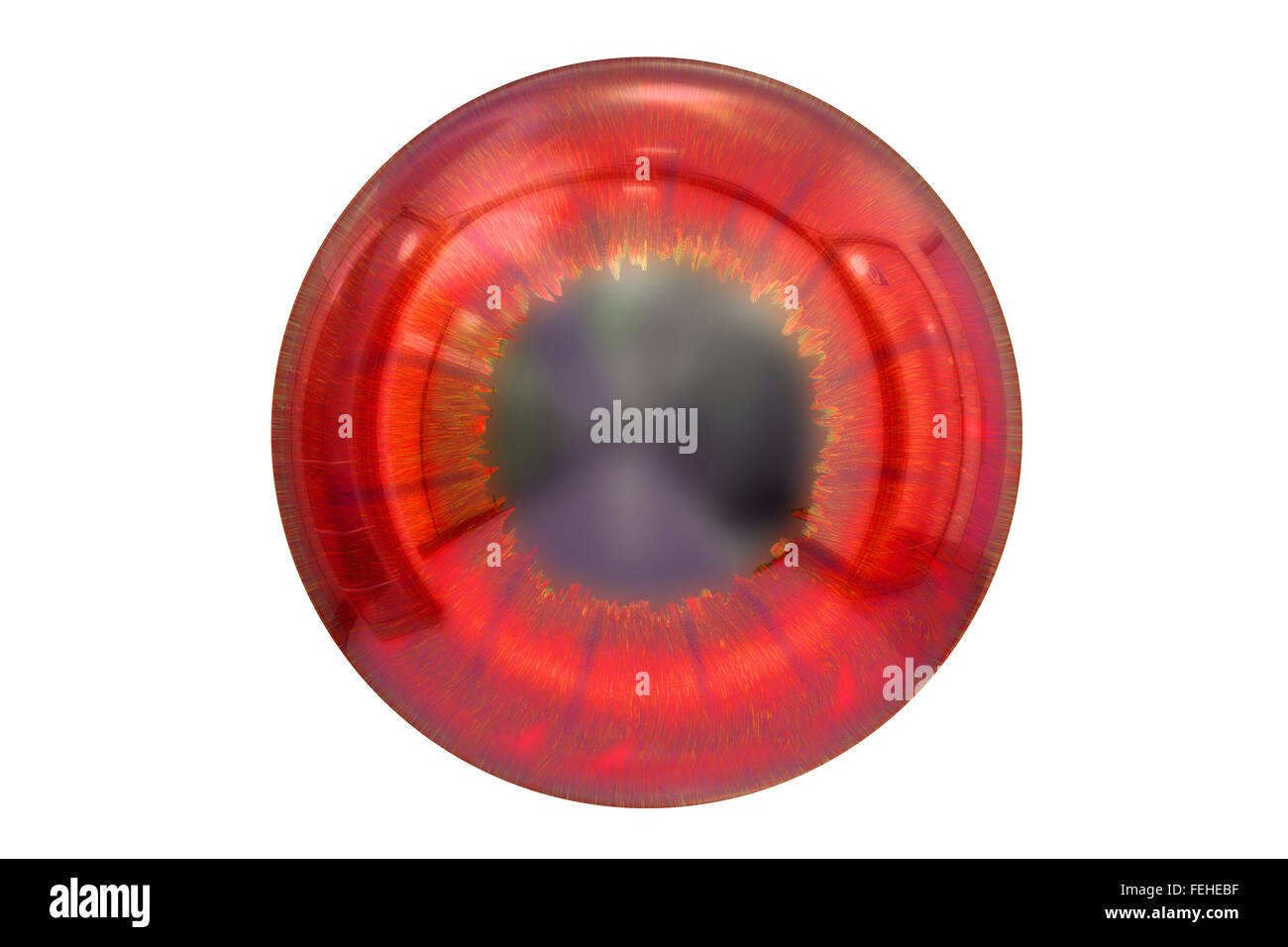 eyes with red iris isolated on white background Stock Photo - Alamy