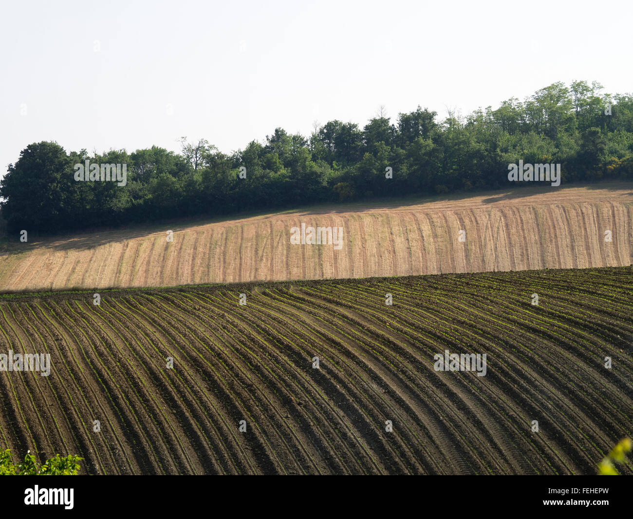 Rolling countryside in Languedoc, France, near Limoux Stock Photo - Alamy