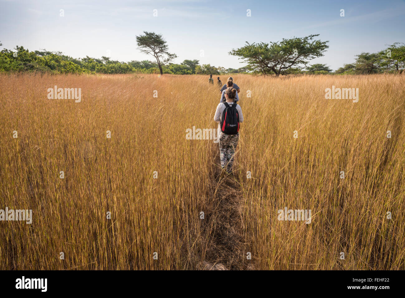 Hiking through the sarannah on Orango, the largest of the Bijagos ...