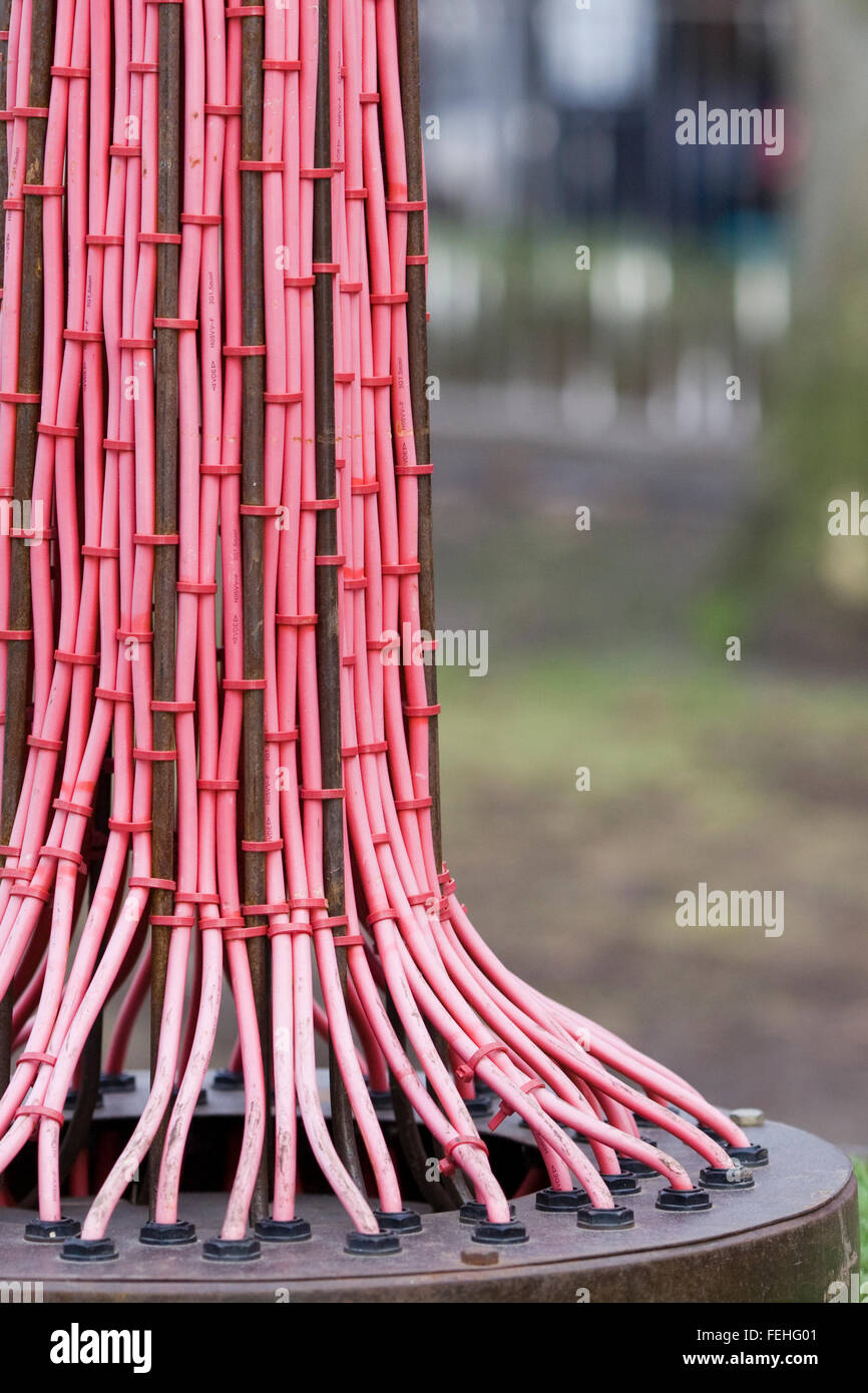 Outdoor Electrical wires attached to a tree for a light display Stock ...