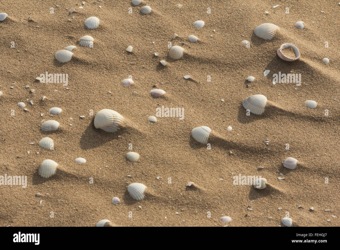 Mersehead Bay sand; sand spit at Southwick Burn sea confluence on RSPB ...