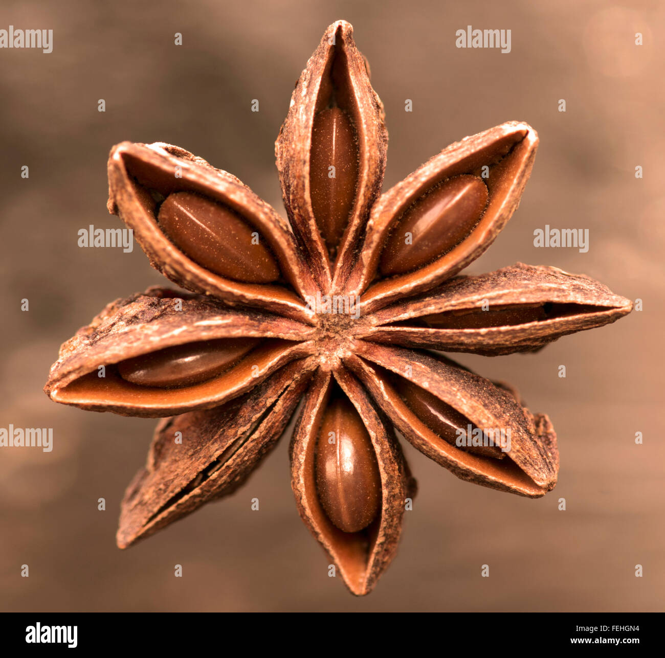 Chinese herbal medicine star anise hi-res stock photography and images ...