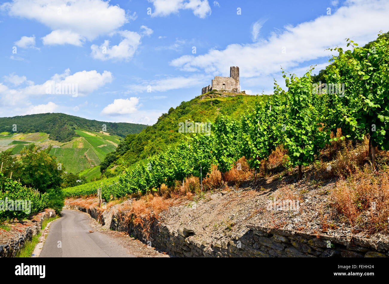 Moselle Valley Germany: View to vineyards and ruins of Landshut castle ...