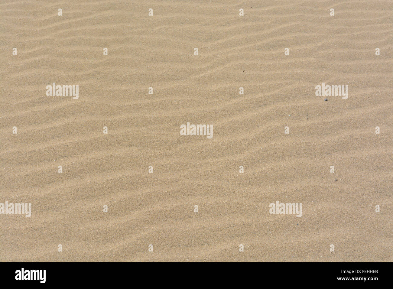Texture, pattern, background of sand in the dunes of Maspalomas, Grand ...