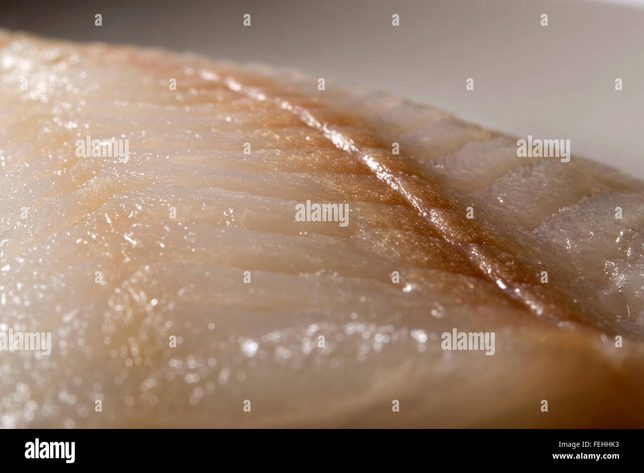 close-up of cod fish Stock Photo - Alamy