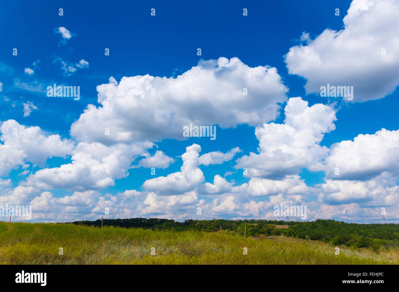 Summer landscape with green grass, village, fields and beautiful clouds ...