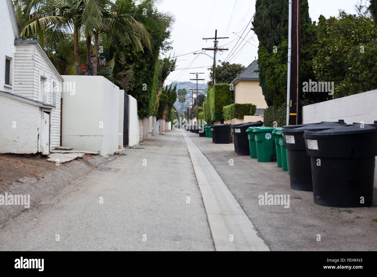 Back alley in Beverly Hills, LA, with wheelie bins and telegraph poles ...