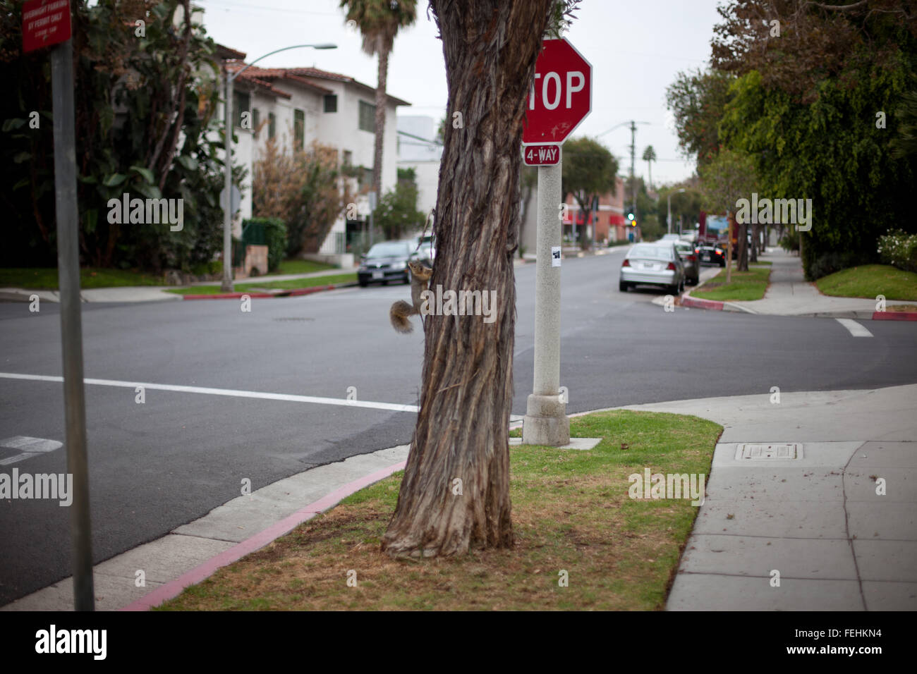 Beverly hills road sign hi-res stock photography and images - Alamy