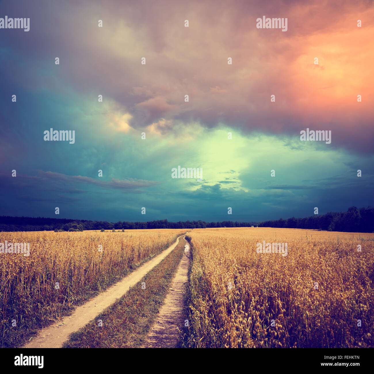 Toned Landscape with Field and Country Road Stock Photo - Alamy