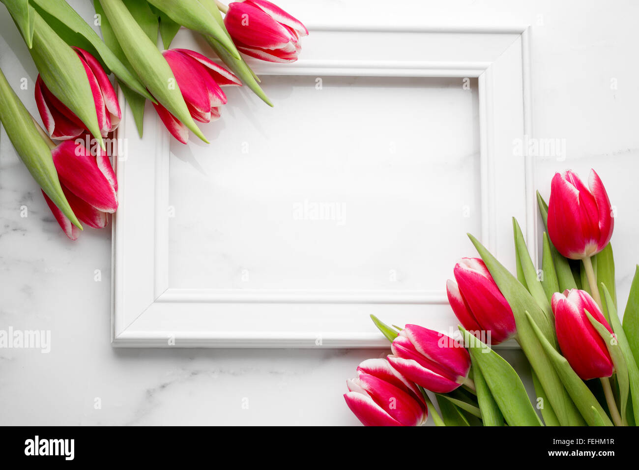 Tulip with blank picture frame on white marble background Stock Photo ...