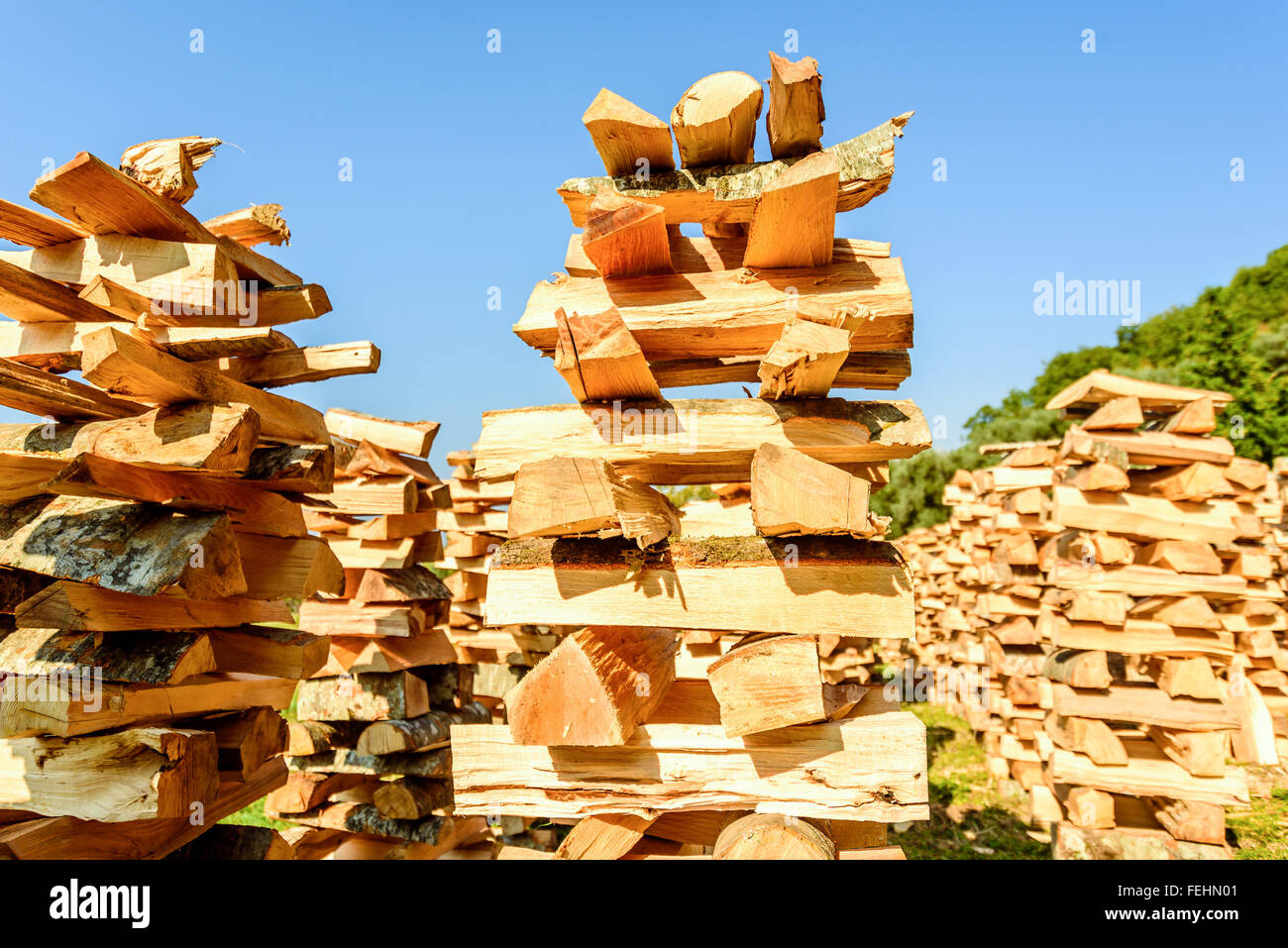 Pile cut branches stack logs hi-res stock photography and images - Alamy