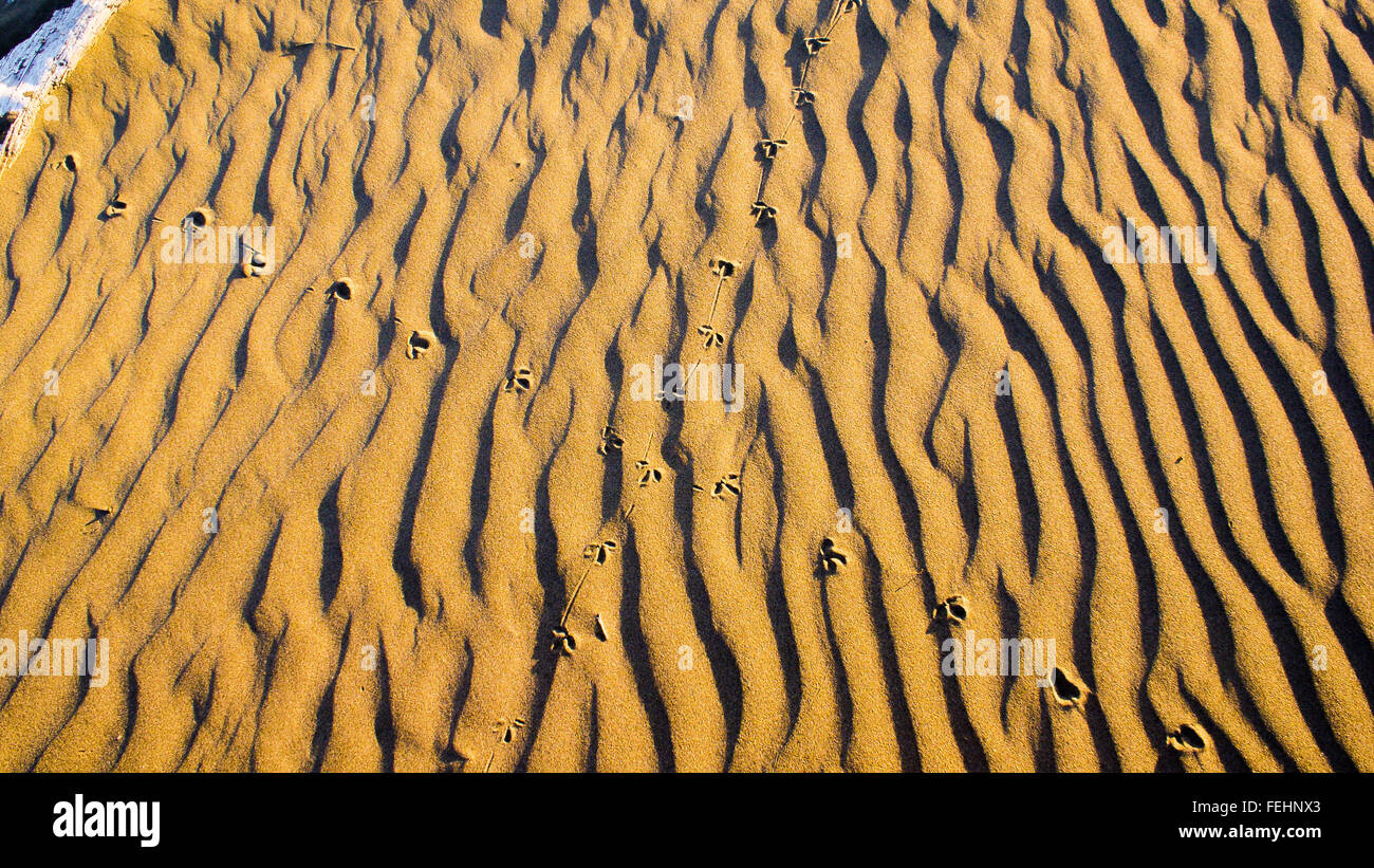 A perfect cross is made by the tracks of two birds in the sand on the ...