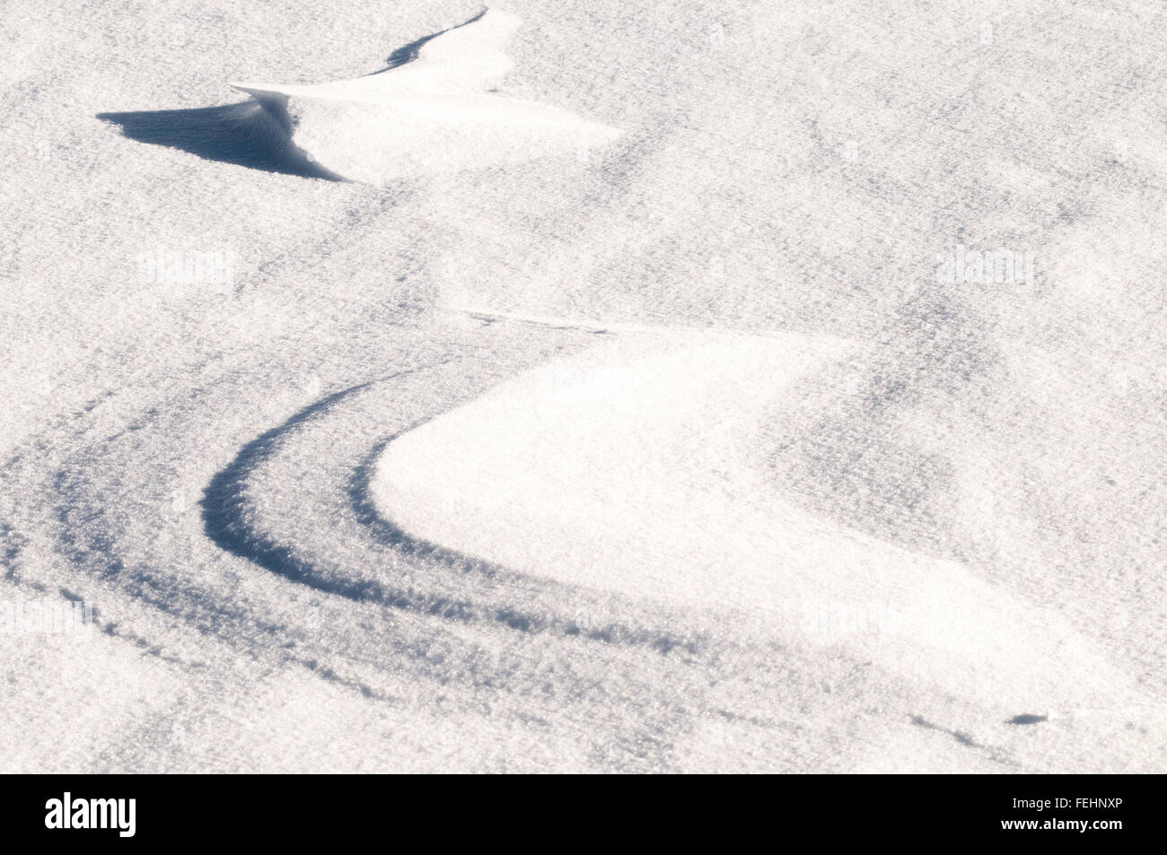 Tundra Snow Wind High Resolution Stock Photography and Images - Alamy