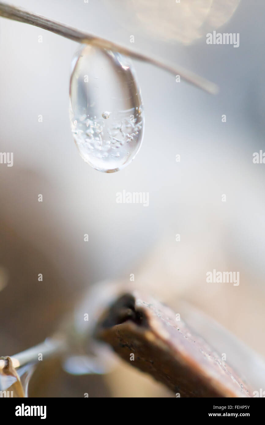 Icy water drop in nature Stock Photo - Alamy