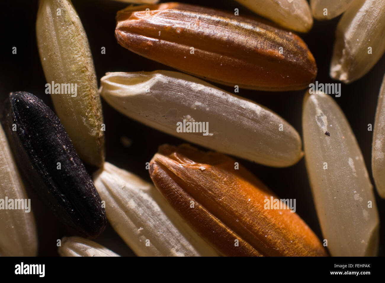 Mixture of white, brown and red rice grains close up Stock Photo - Alamy