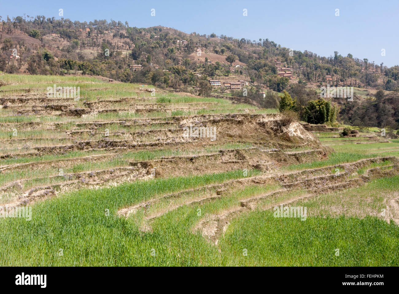 Terrace farming hi-res stock photography and images - Alamy