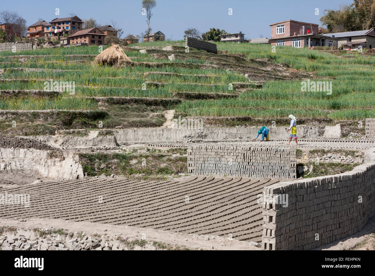 Bricks drying hi-res stock photography and images - Alamy
