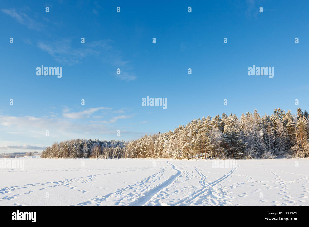 Frozen lake and snow covered forest Stock Photo - Alamy