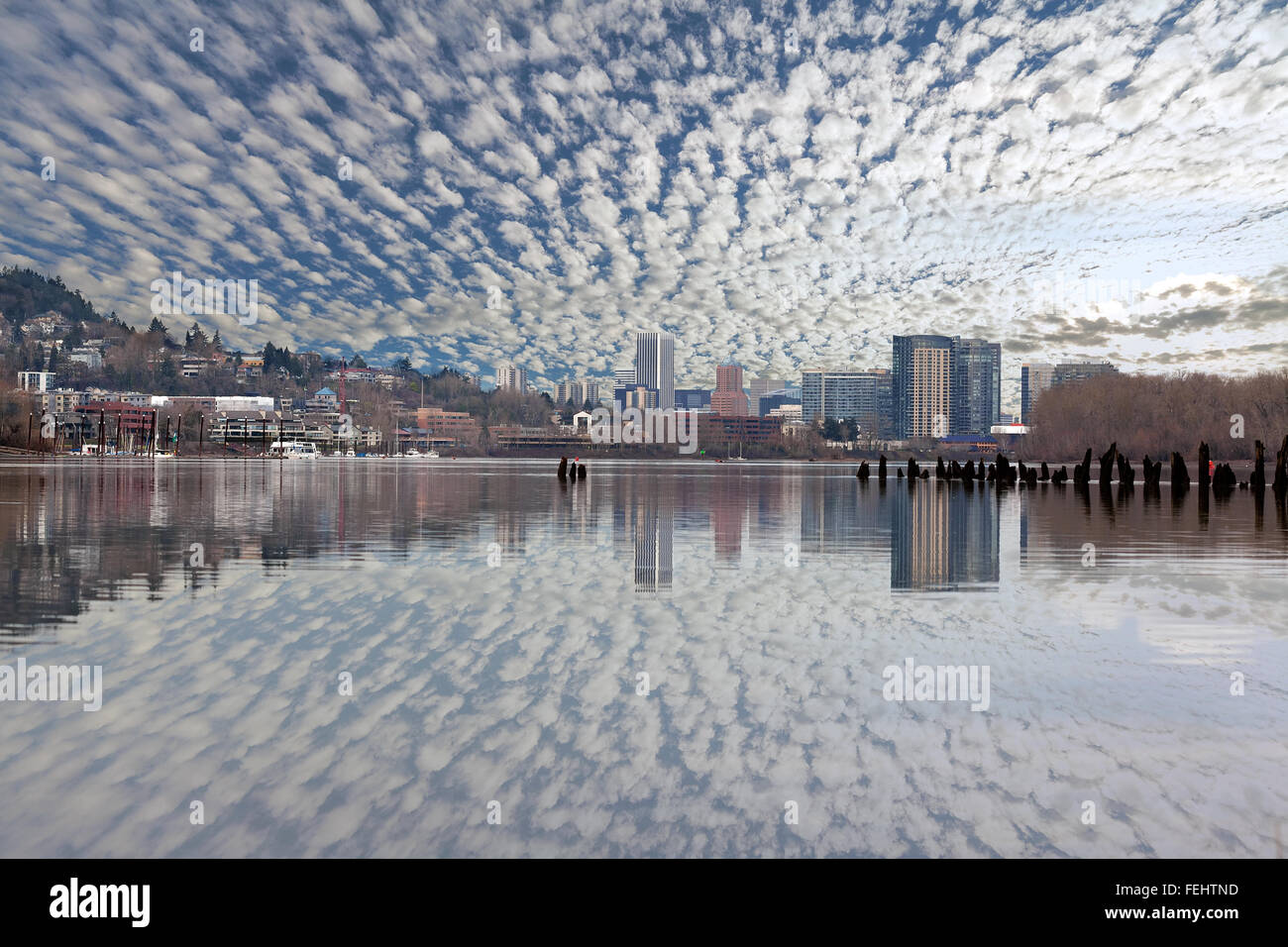 Portland Oregon and South Waterfront Skyline Reflection on Willamette ...