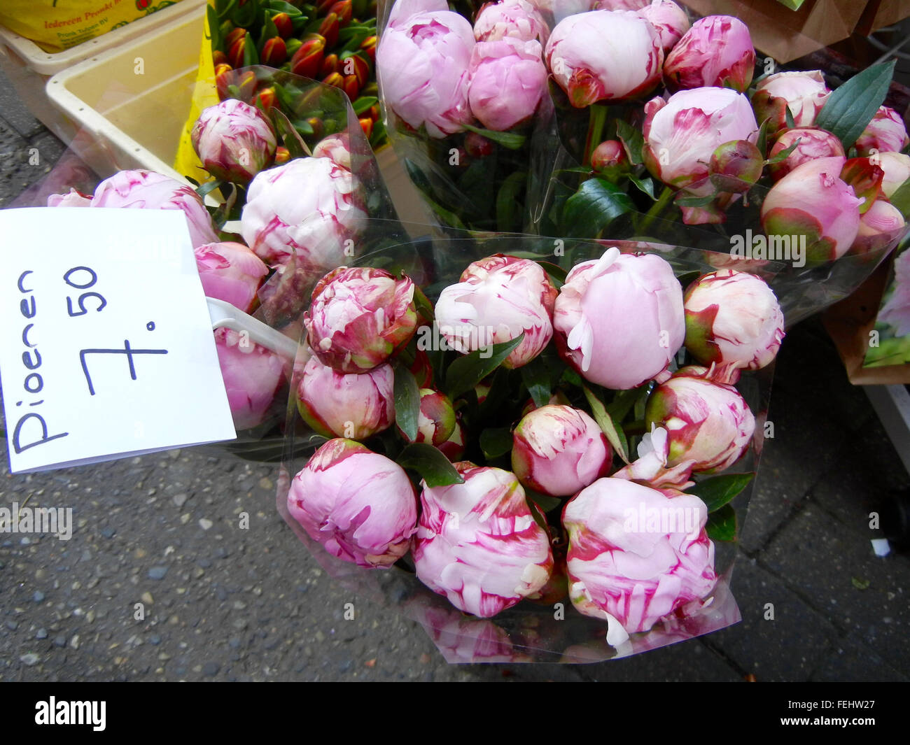 Peonies in Bloomenmarkt Stock Photo - Alamy