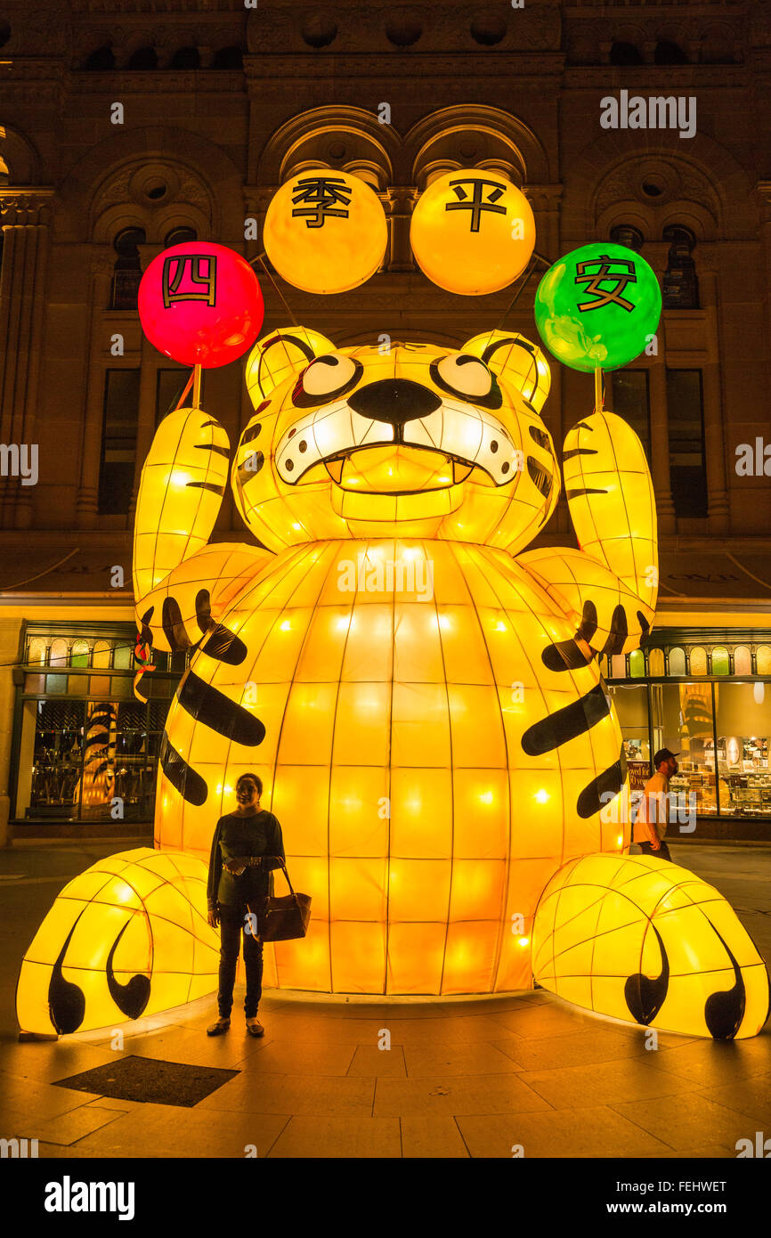 Sydney, Australia. 07th Feb, 2016. The tiger lantern sits in front of ...