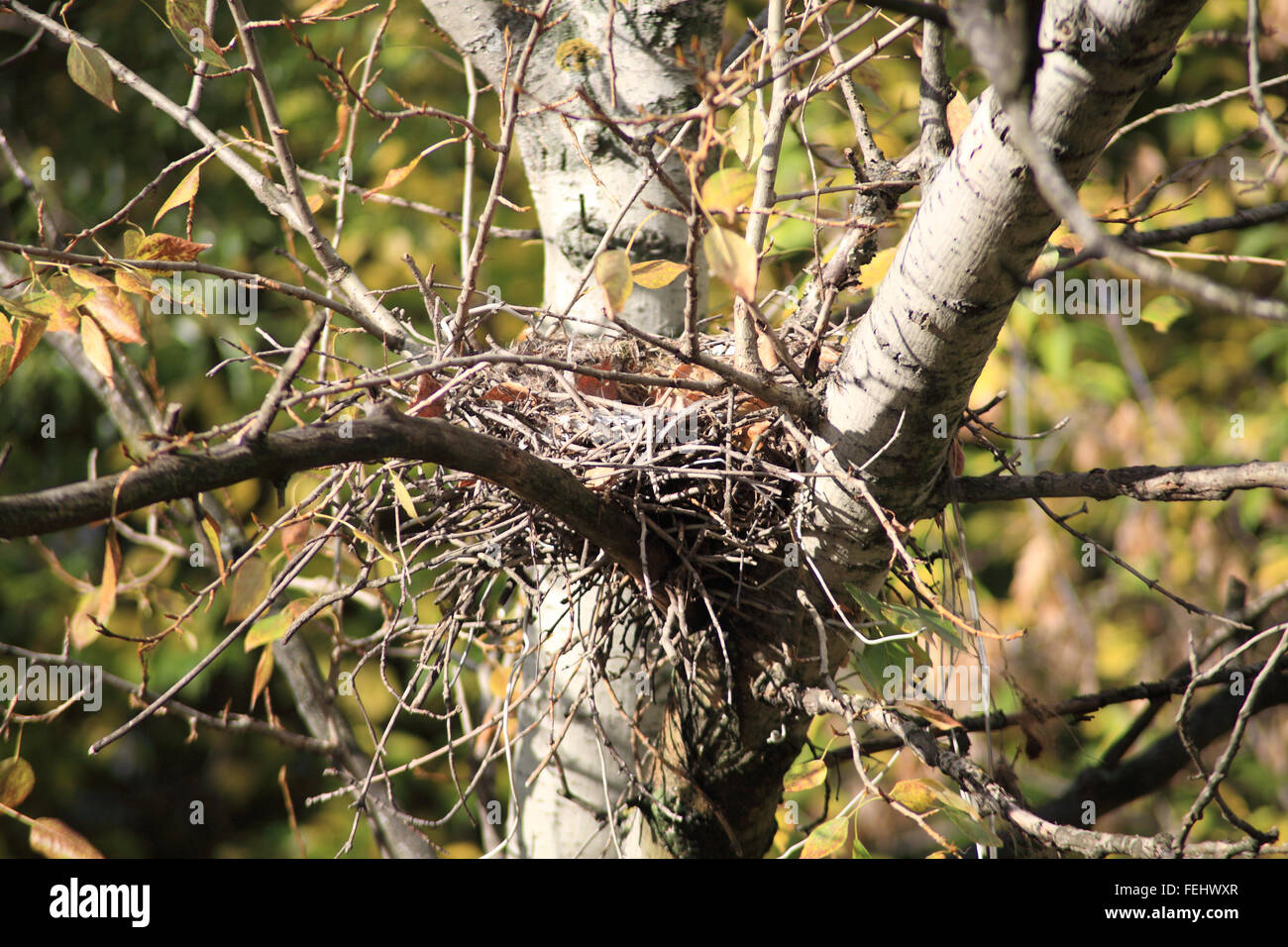 Convolute hi-res stock photography and images - Alamy