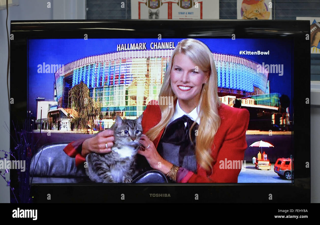 Beth stern cat hi-res stock photography and images - Alamy