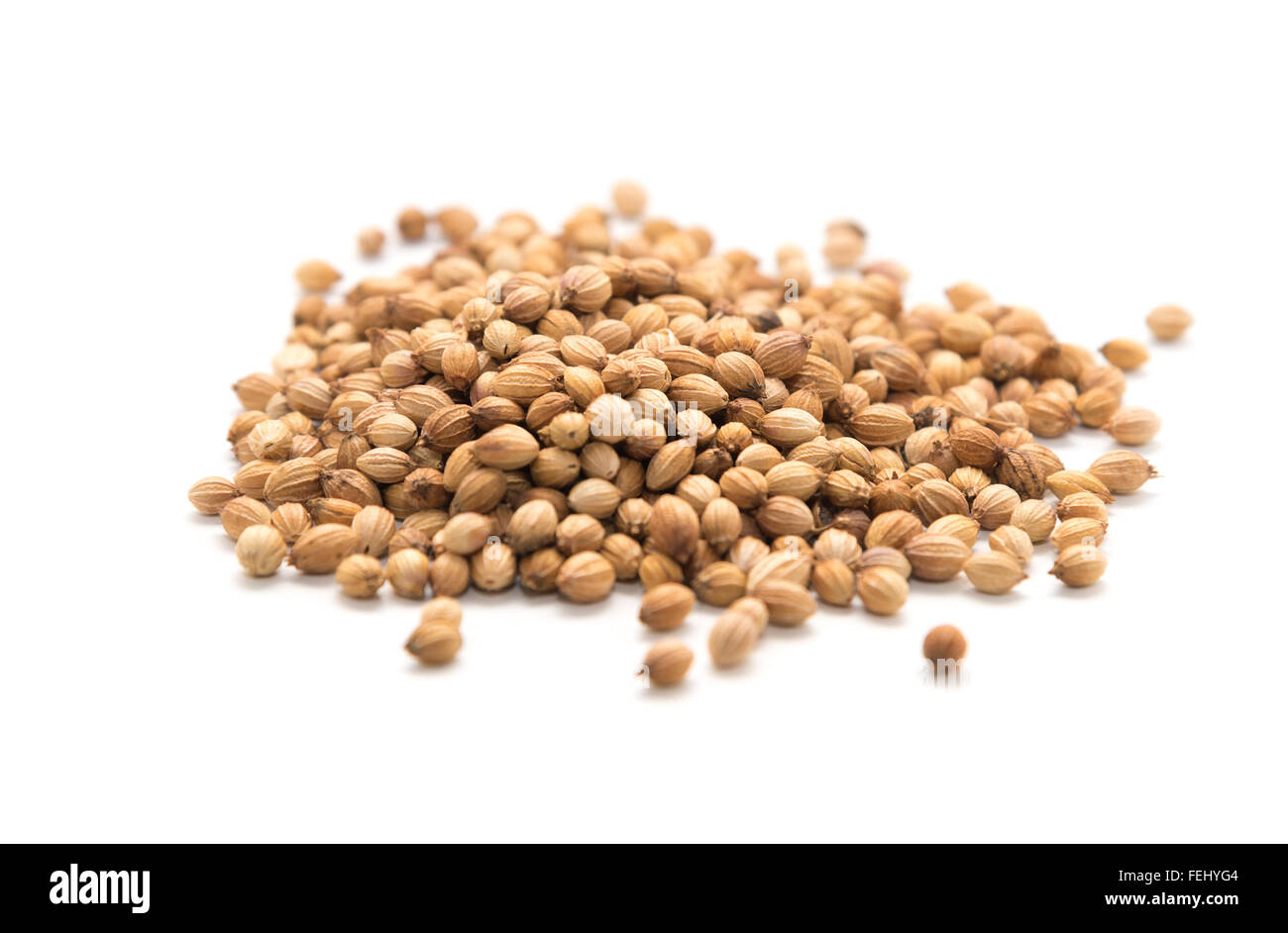 Coriander seeds hi-res stock photography and images - Alamy