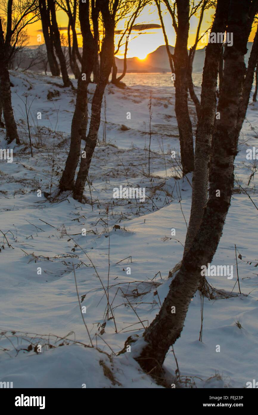 sun is back after polar night, january 2016 Stock Photo - Alamy