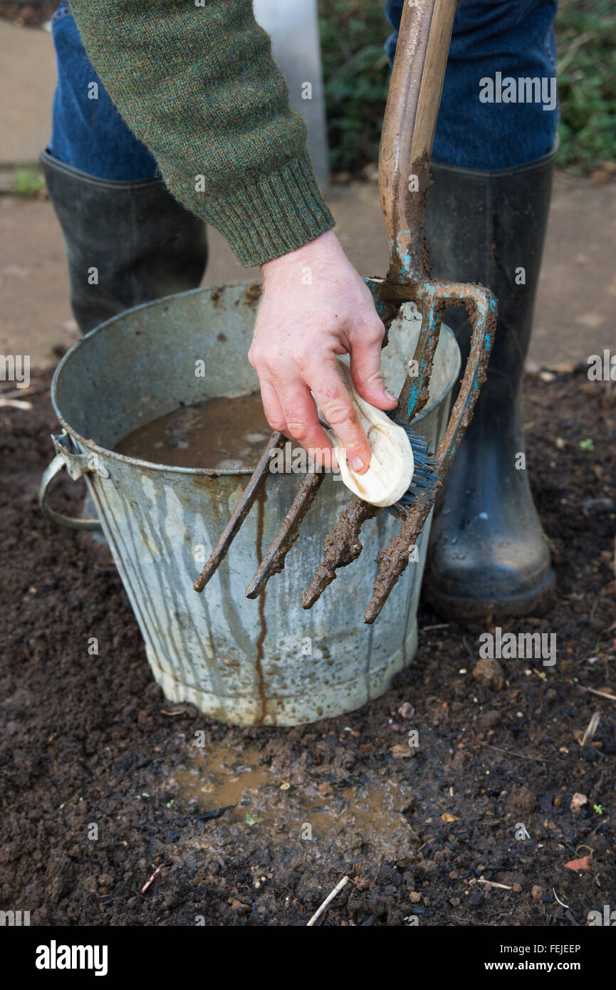 Gardner with a bucket of water cleaning soil of a garden fork Stock ...