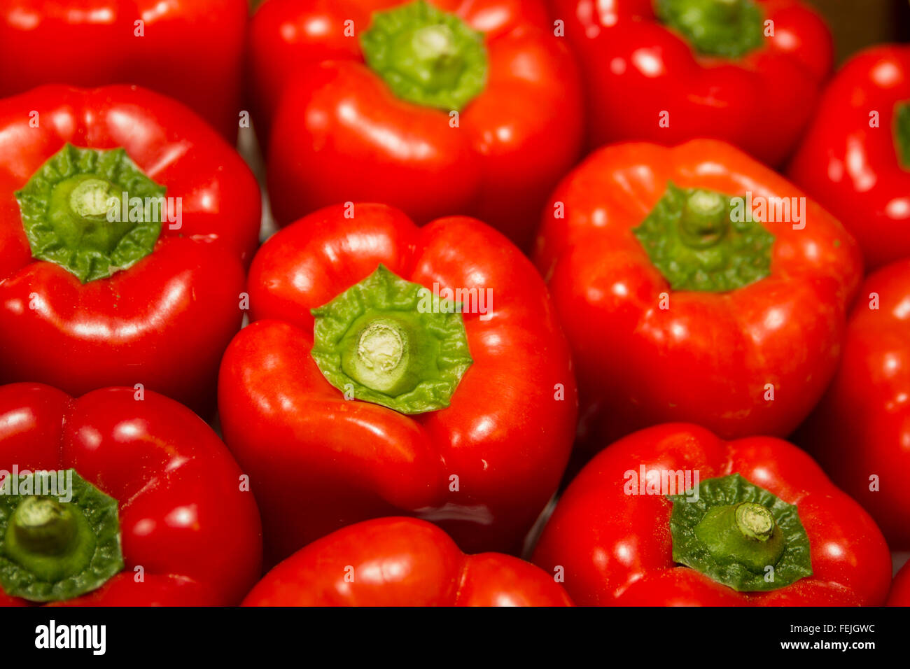 Paprika plants hi-res stock photography and images - Alamy