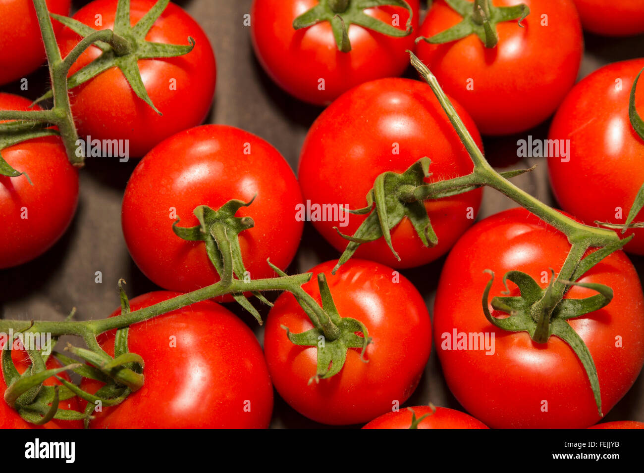 red, shiny delicious tomatoes Stock Photo - Alamy