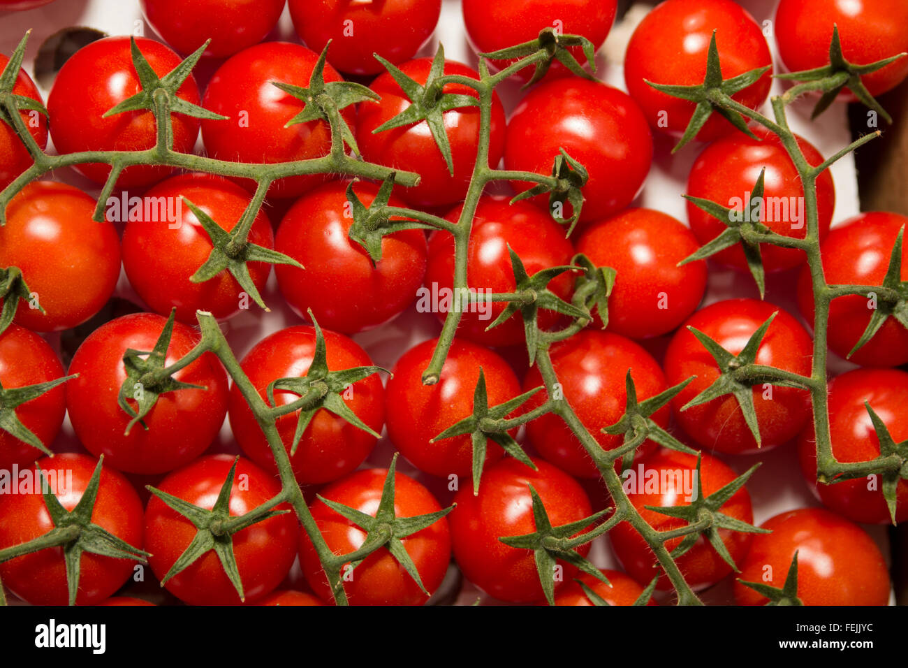 Shiny tomatoes hi-res stock photography and images - Alamy