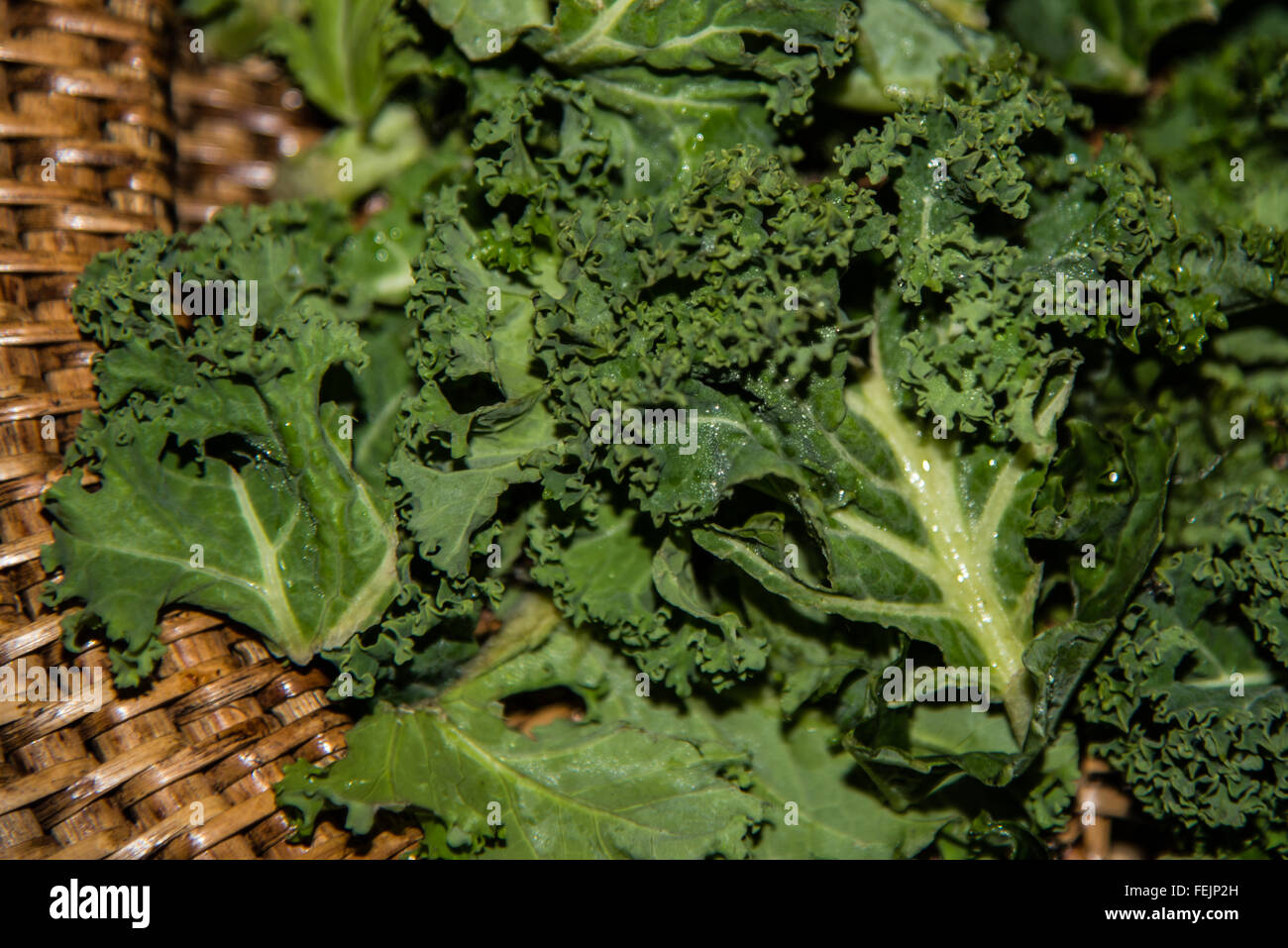 Curly Kale on wicker plate Stock Photo - Alamy