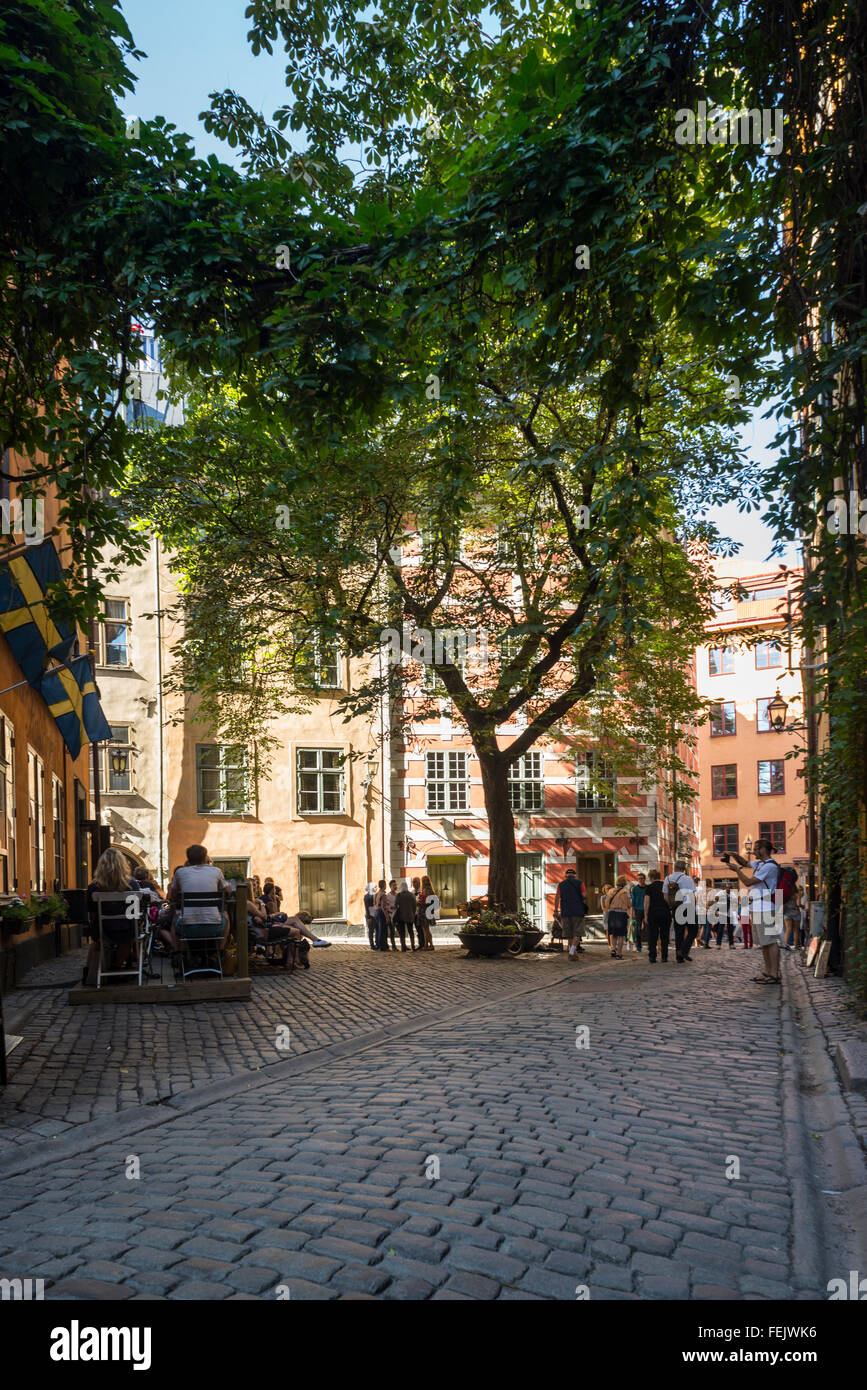 People sitting under the famous old tree on the triangular Brända ...