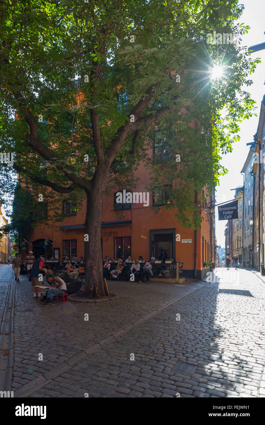 People sitting under the famous old tree on the triangular Brända ...