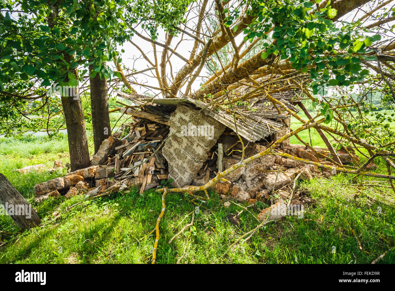 Old Barn Damaged By Recent Hurricane. Natural Disaster Stock Photo - Alamy
