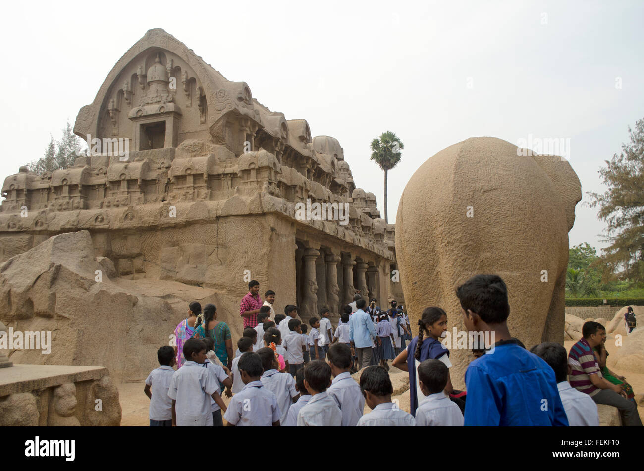 Five Rathas or Panch Rathas at Mahabalipuram, Tamil Nadu India, Asia ...