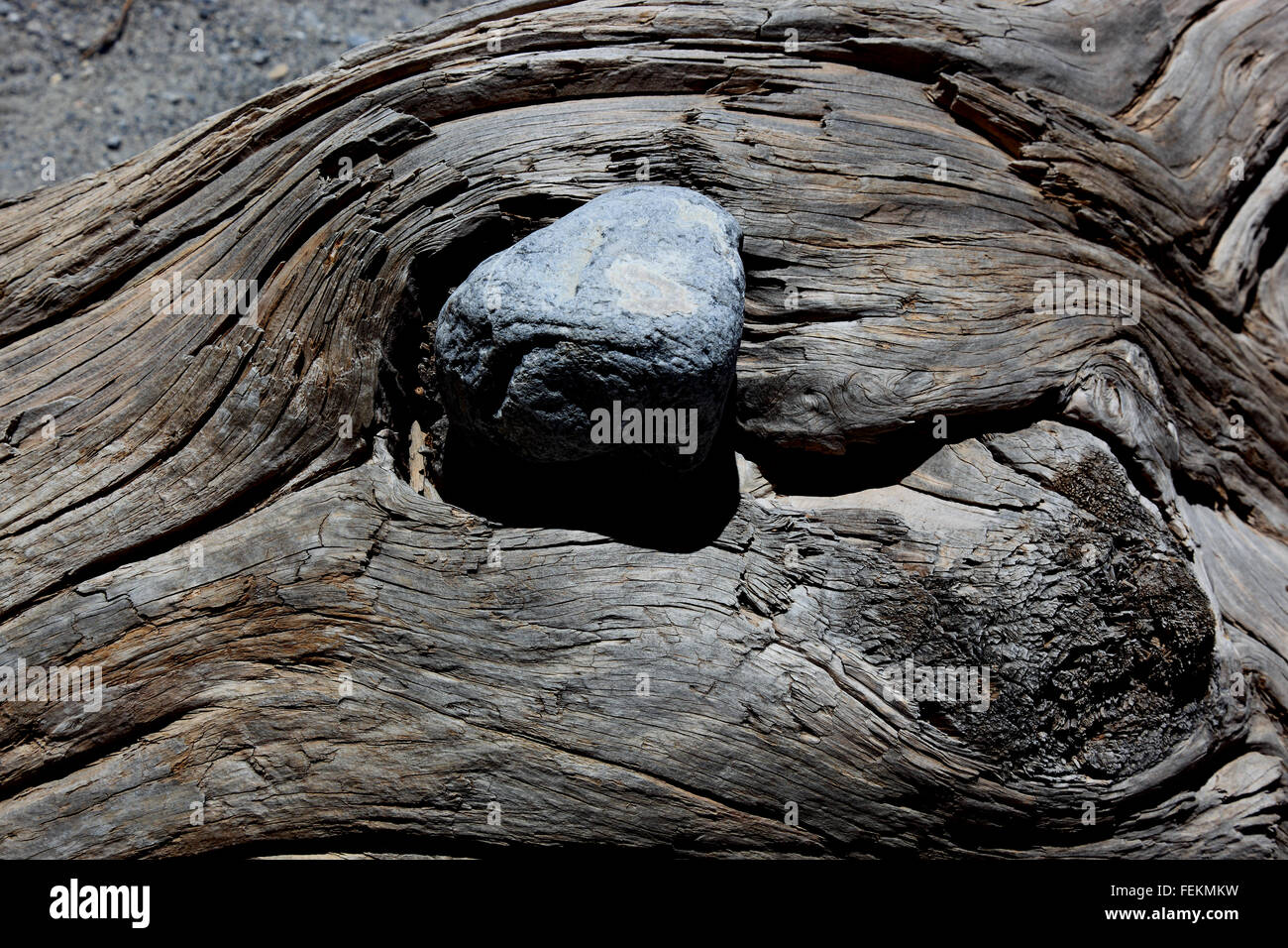 In a knothole hi-res stock photography and images - Alamy