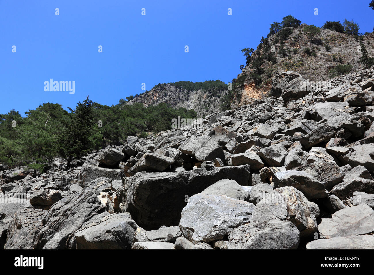 Crete, scenery in the Samaria gulch, trees in a rocky slope Stock Photo ...