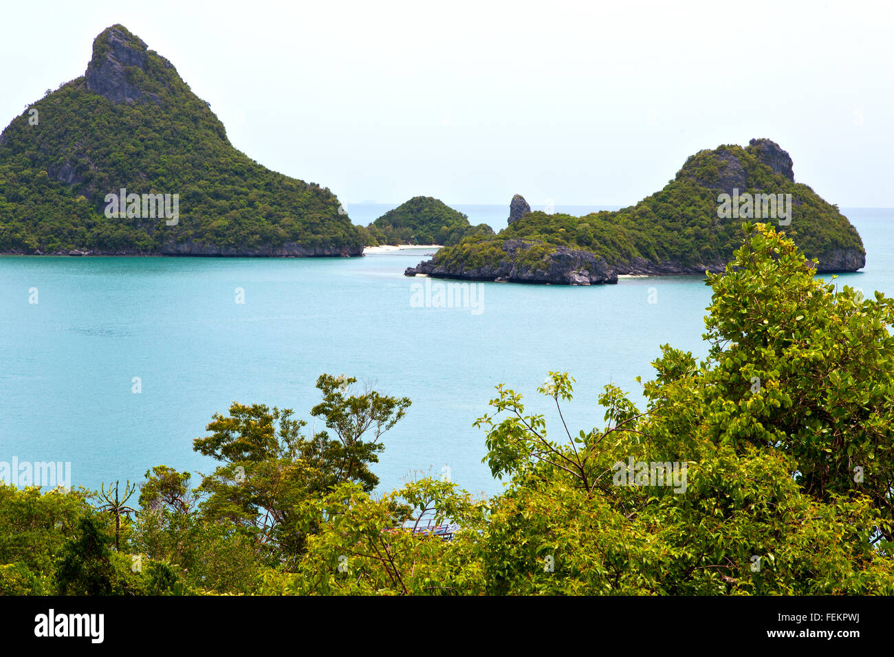 boat coastline of a green lagoon and tree south china sea thailand kho ...