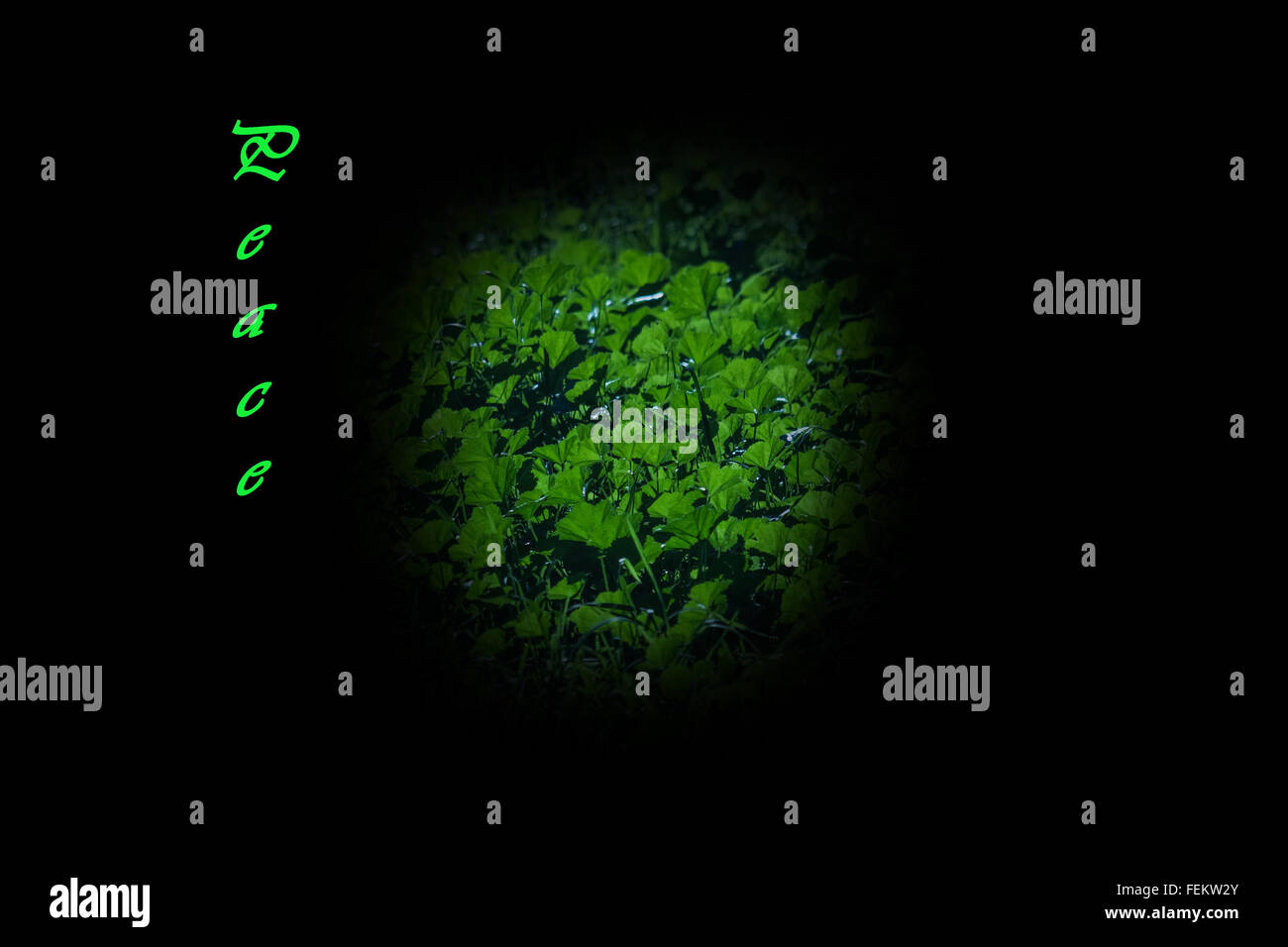 Green Growth Word High Resolution Stock Photography and Images - Alamy