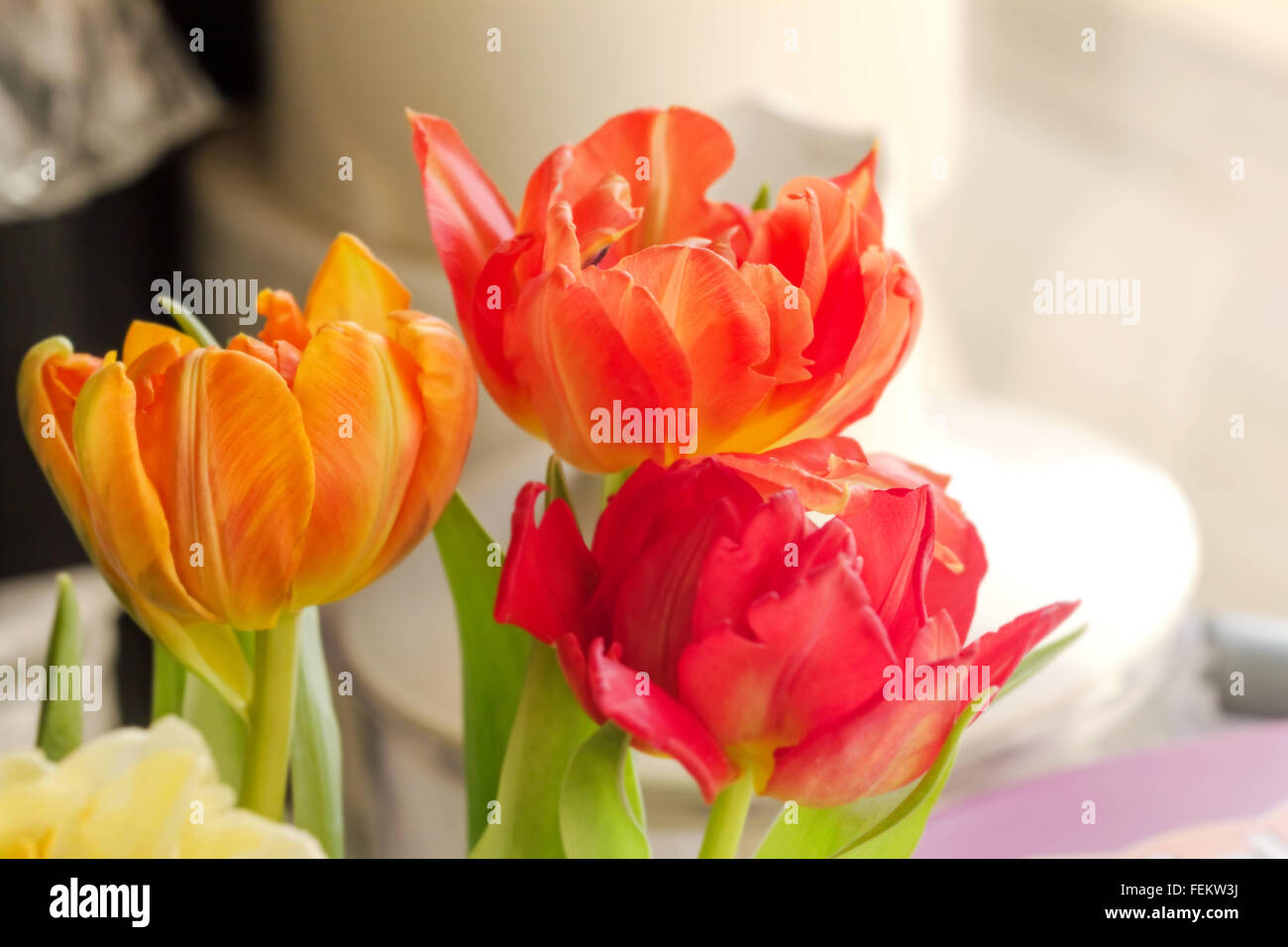 Nice spring hi-res stock photography and images - Alamy