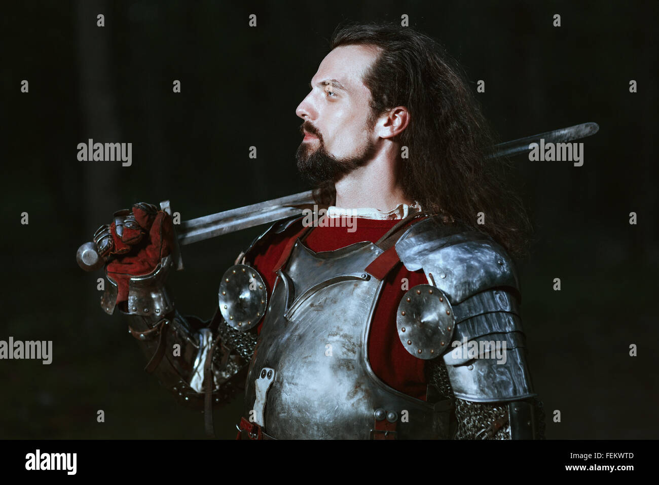 Knight in forest Stock Photo - Alamy