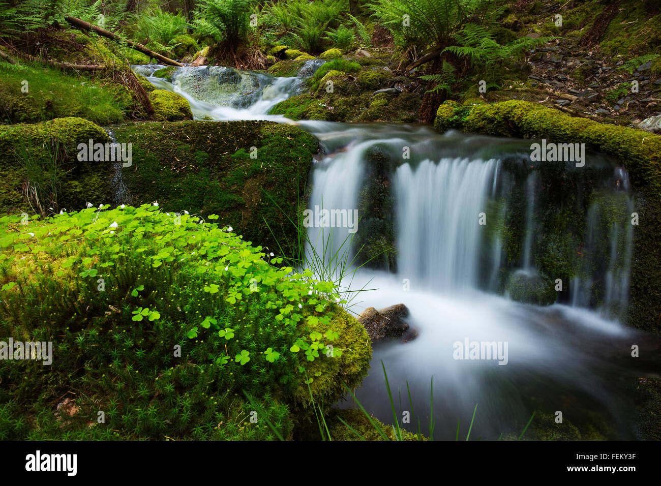 Rushing trickling uk mountain waterfall fresh hi-res stock photography ...