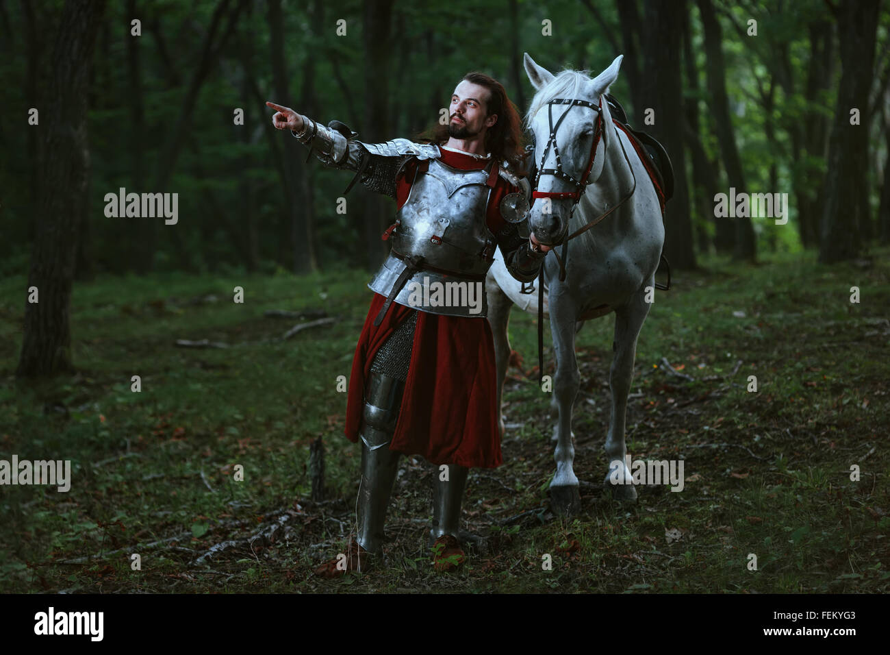 Knight in forest Stock Photo - Alamy