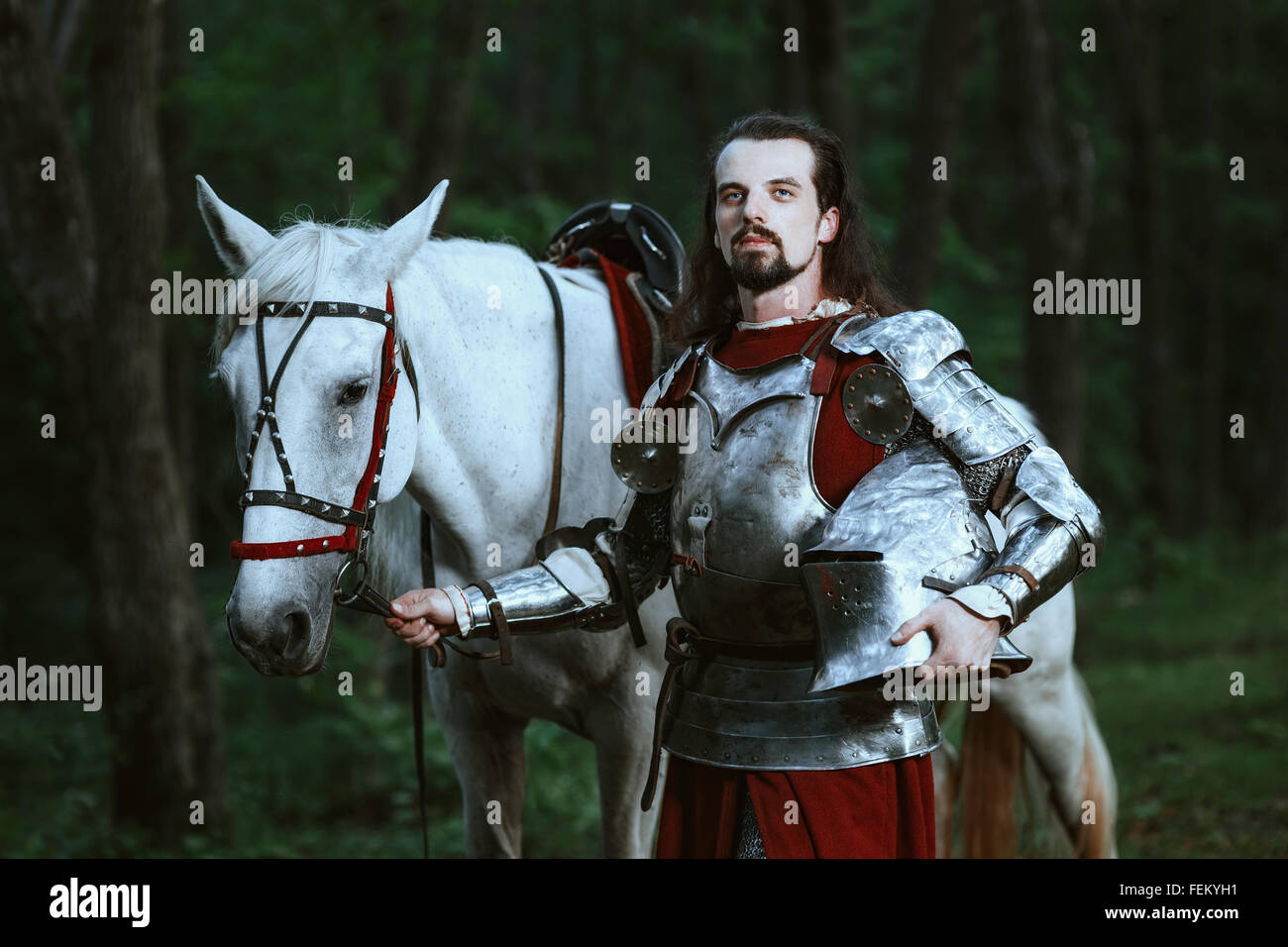 Knight horse armor hi-res stock photography and images - Alamy