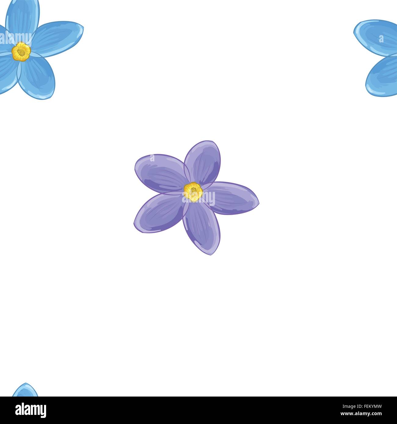 Seamless forget-me-not pattern Stock Vector Image & Art - Alamy