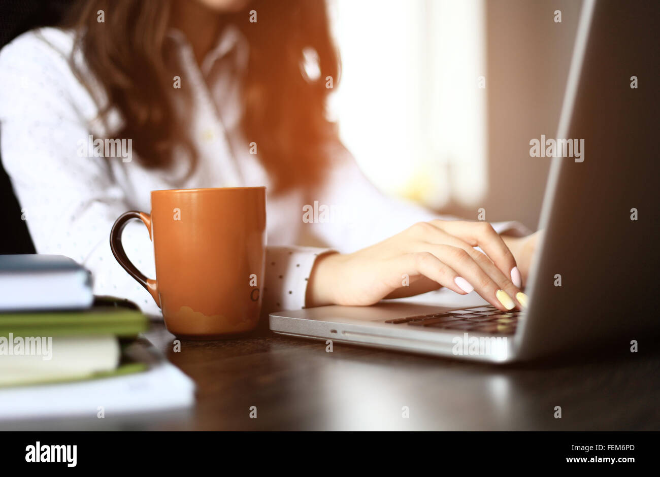 Closeup of a female hands busy typing on a laptop Stock Photo - Alamy